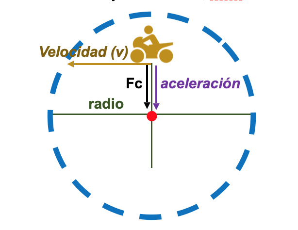 Calculadora de Fuerza Centrípeta - Calculadoras de Física