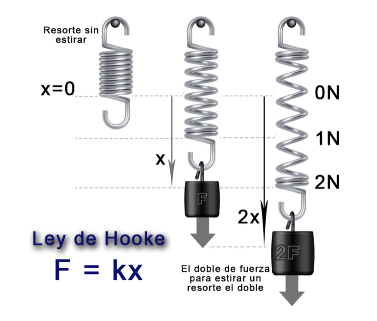 Calculadora de Ley de Hooke - Calculadoras de Física